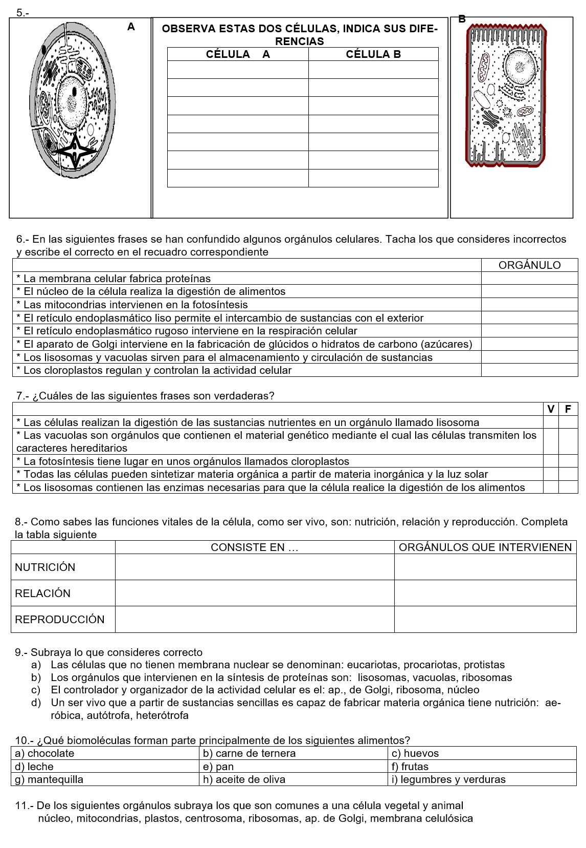 TEMA 14: LA CÉLULA.-ESTRUCTURA Y FUNCIONES VITALES – EL BLOG DE ...